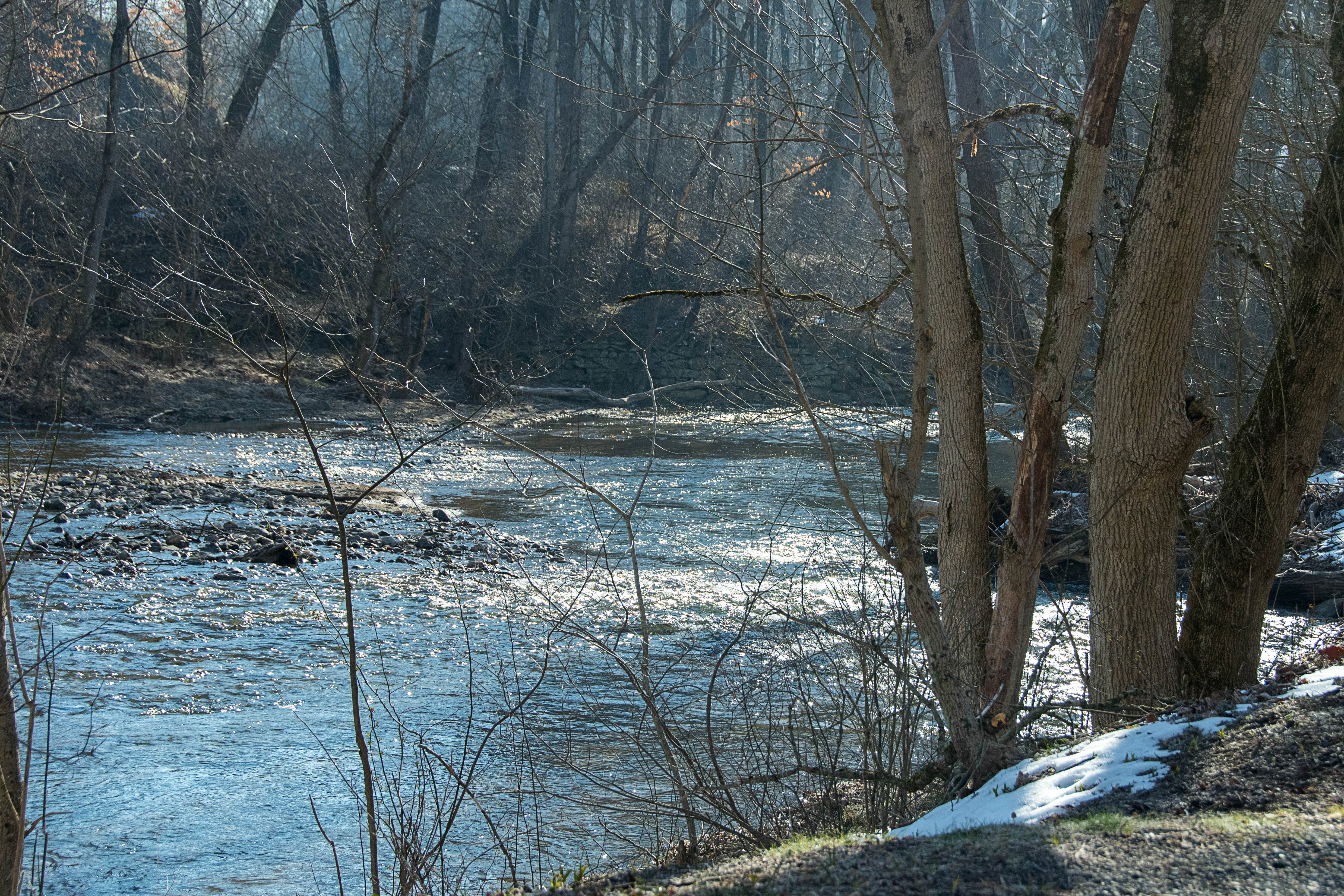Beautiful brisk spring morning | Shutterbug